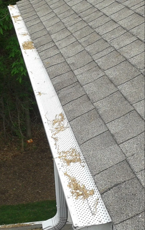 Gallery | Bren-Mark Window and Gutter Cleaning | Serving Northwest Indiana